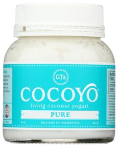 Cocoyo Yogurt premium Website